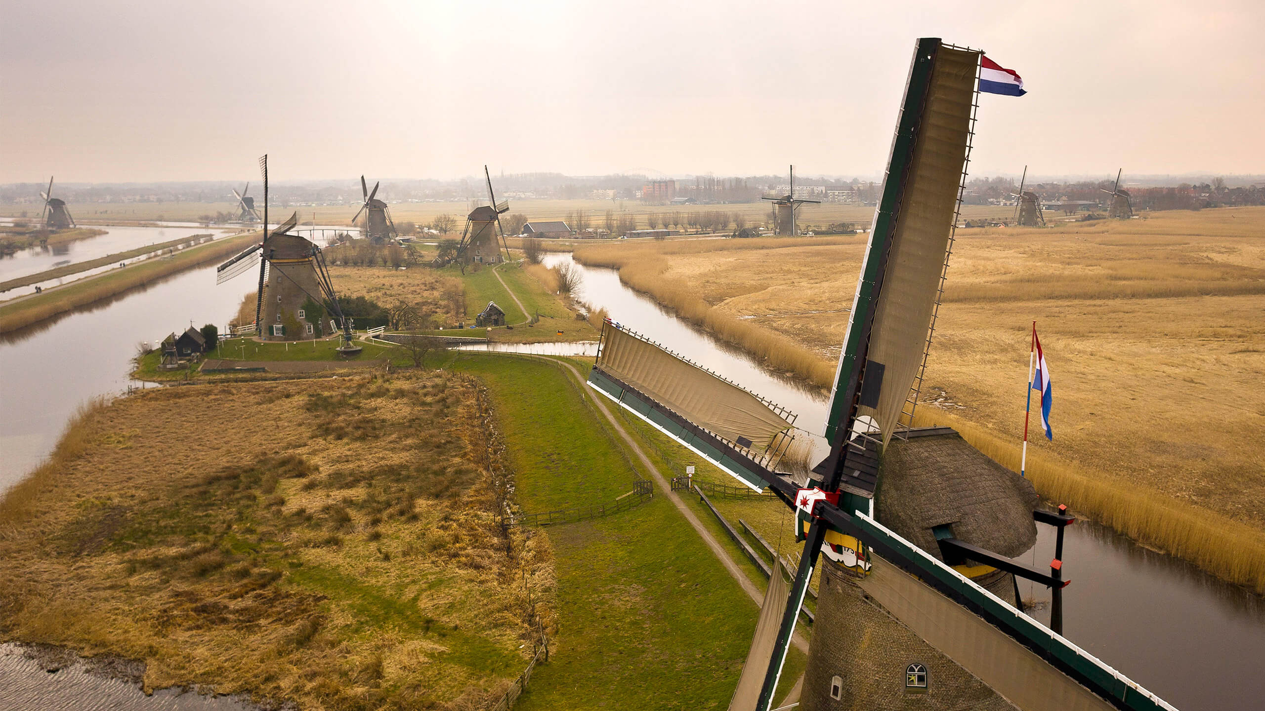 Let’s Celebrate! - Kinderdijk